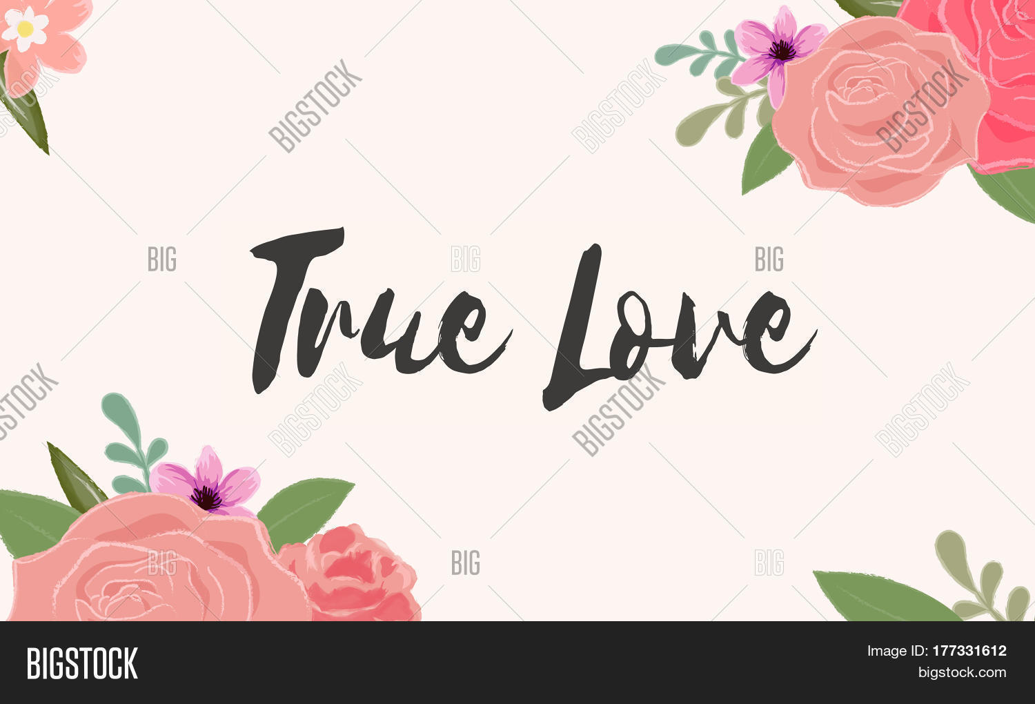 True Love Letter Image & Photo (Free Trial) | Bigstock