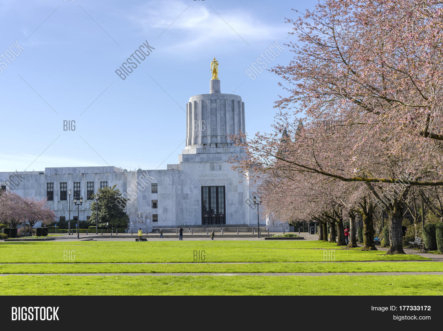 State Capitol Building Image & Photo (Free Trial) | Bigstock