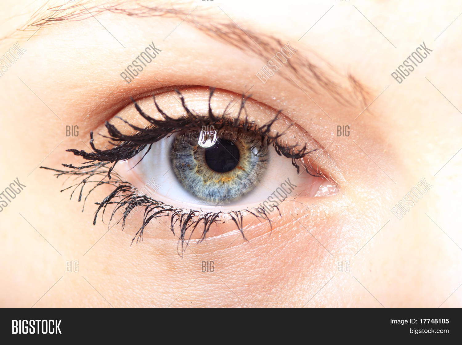 Beautiful Blue Eye Image & Photo (Free Trial) | Bigstock