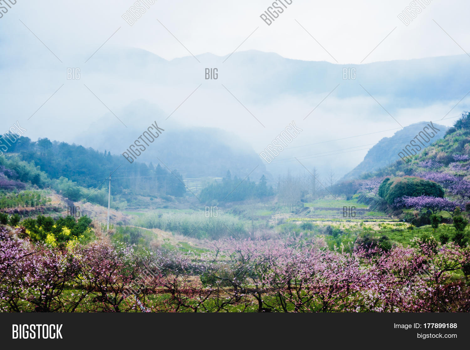 Beautiful Countryside Image & Photo (Free Trial) | Bigstock