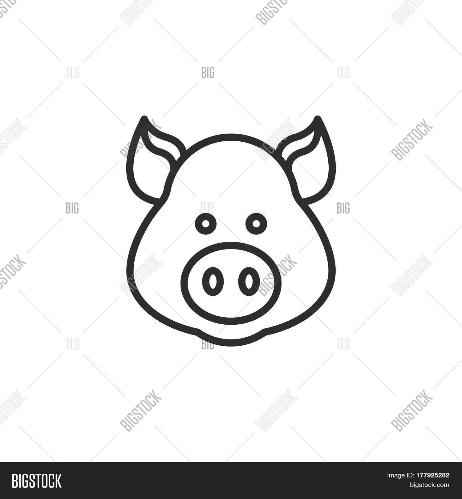 Pig Head Line Drawing
