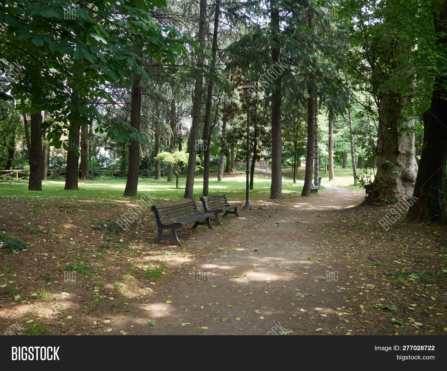Park Full Greenery Image & Photo (Free Trial) | Bigstock