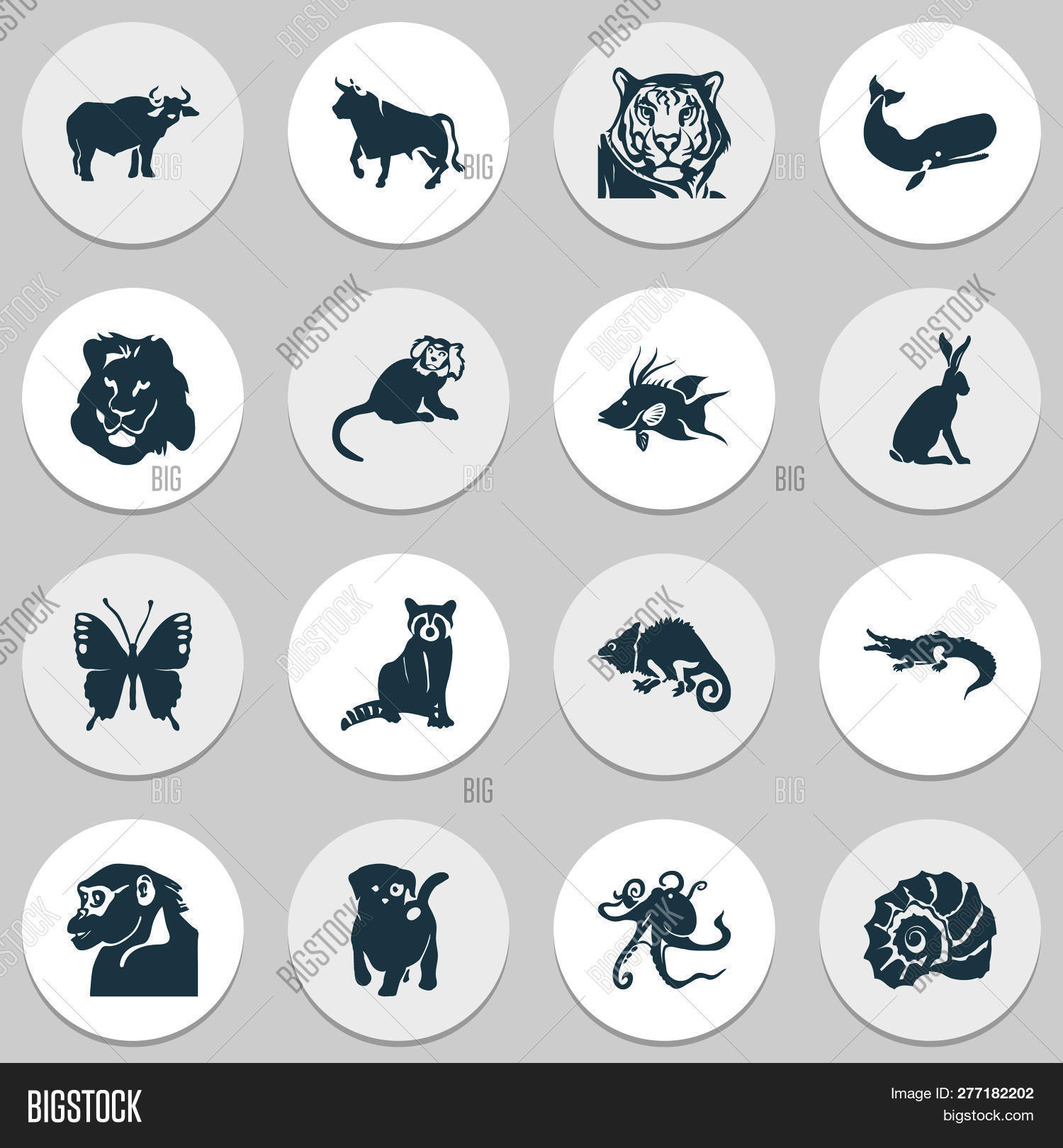Animal Icons Set Image & Photo (Free Trial) | Bigstock