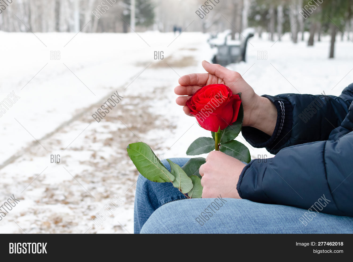 Man Sitting On Bench Image & Photo (Free Trial) | Bigstock