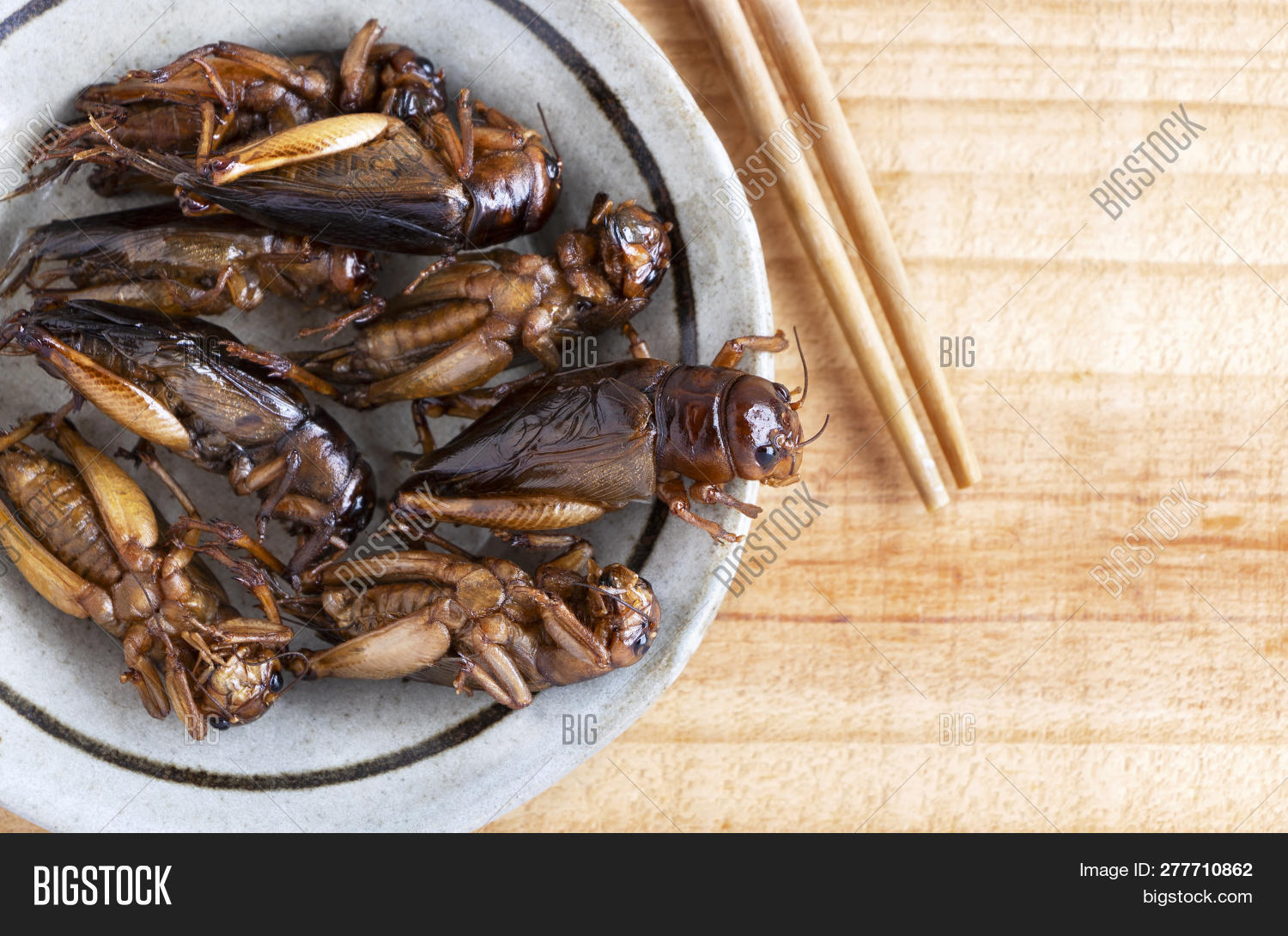 Insects(crickets) Image & Photo (Free Trial) | Bigstock