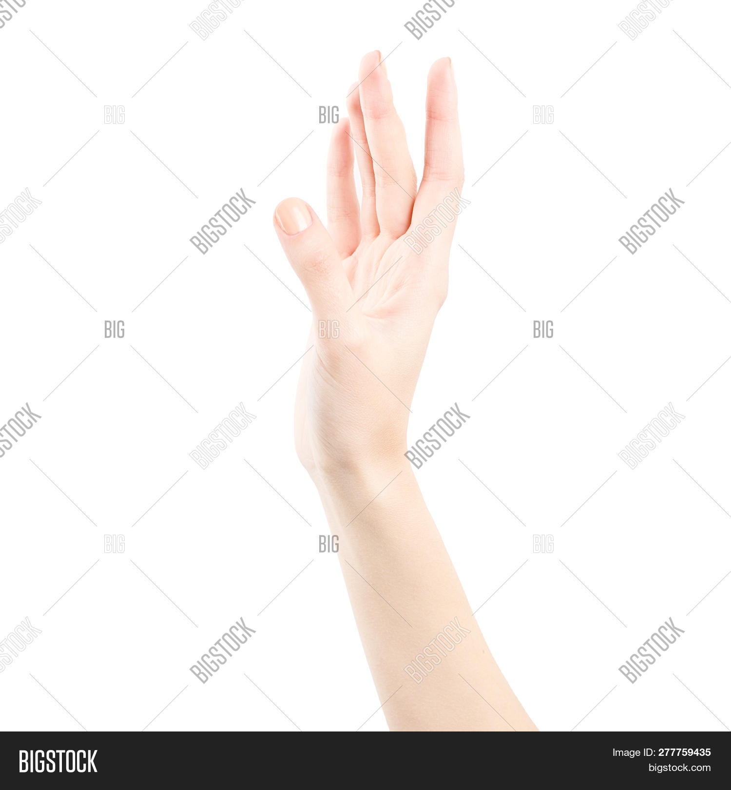 Female Hand Isolated Image & Photo (Free Trial) | Bigstock