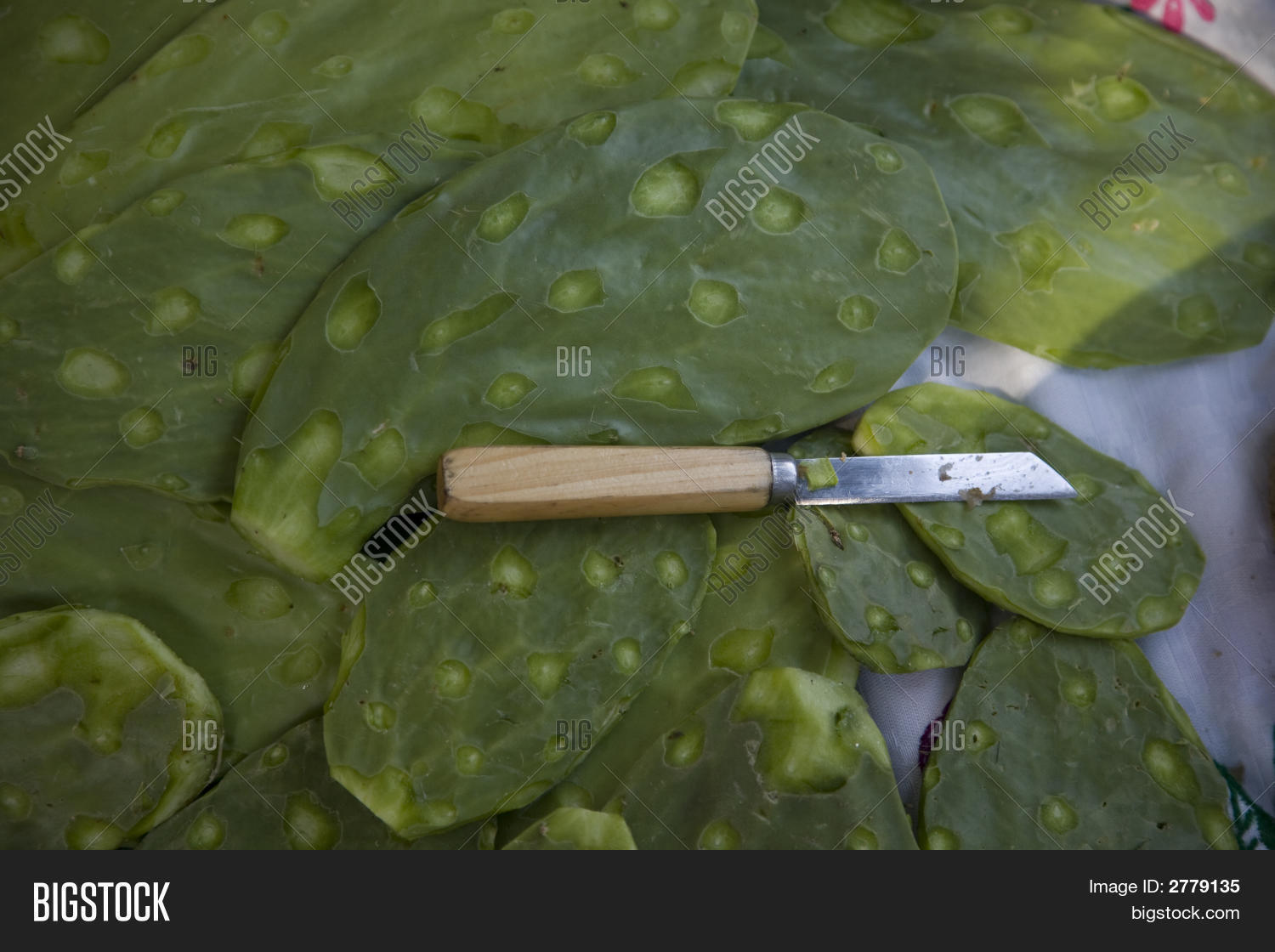 Edible Green Cactus Image & Photo (Free Trial) | Bigstock
