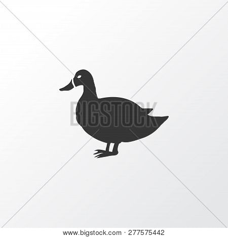 Duck Icon Symbol. Vector & Photo (Free Trial) | Bigstock