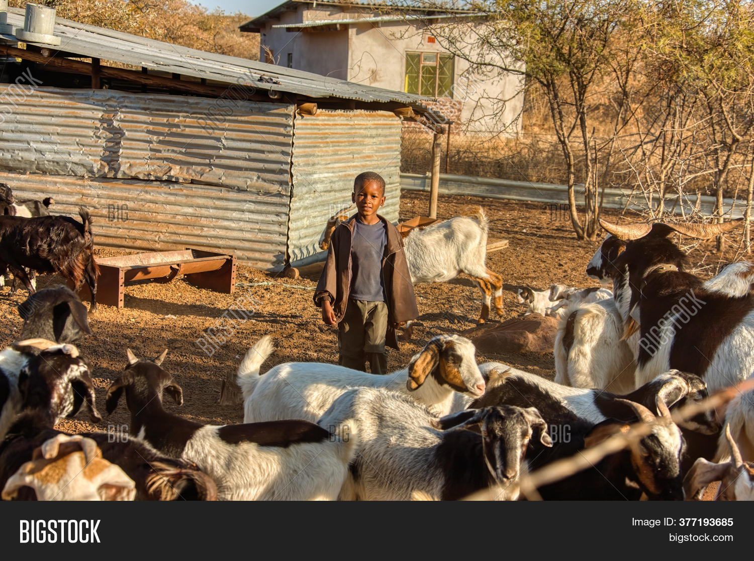 African Boy Heard Image & Photo (Free Trial) | Bigstock