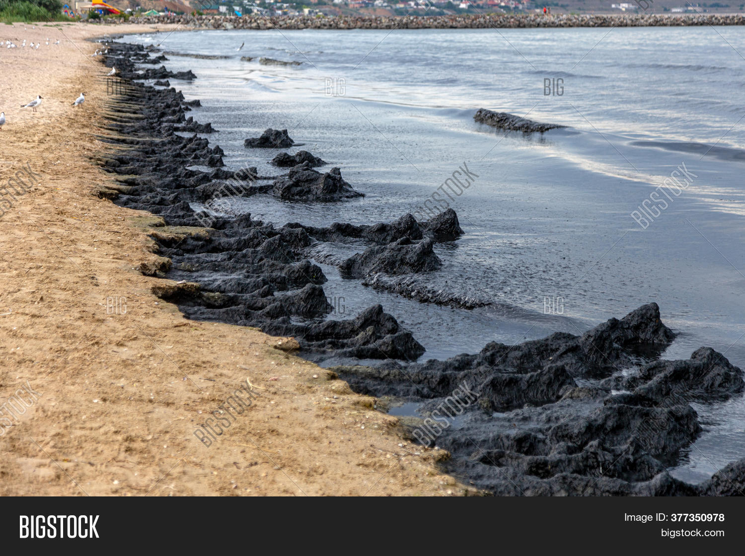 Sea Beach Polluted Oil Image & Photo (Free Trial) | Bigstock