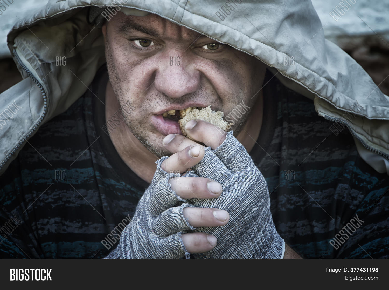 Homeless, Toothless, Image & Photo (Free Trial) | Bigstock