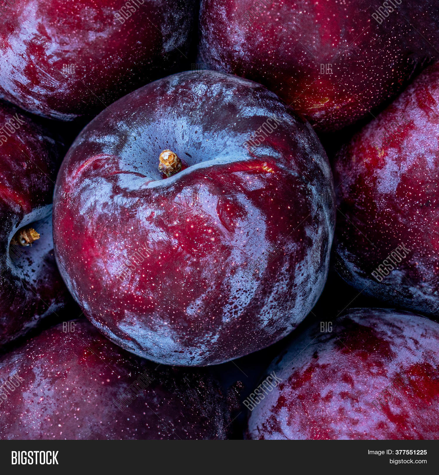 Plum Fruits Background Image & Photo (Free Trial) | Bigstock