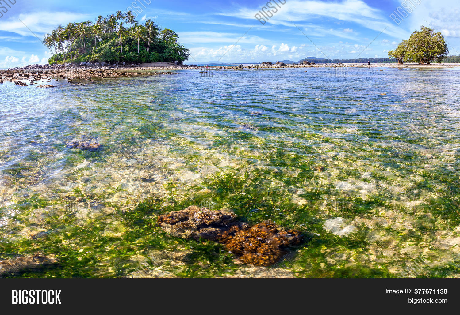 Ocean Underwater Reef Image & Photo (Free Trial) | Bigstock