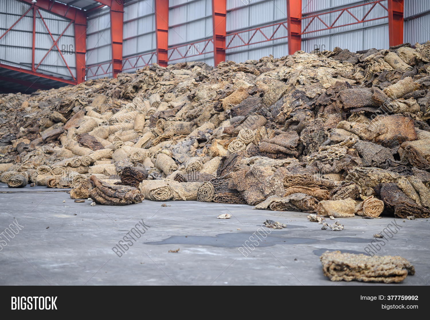 Rubber Processing Image & Photo (Free Trial) | Bigstock