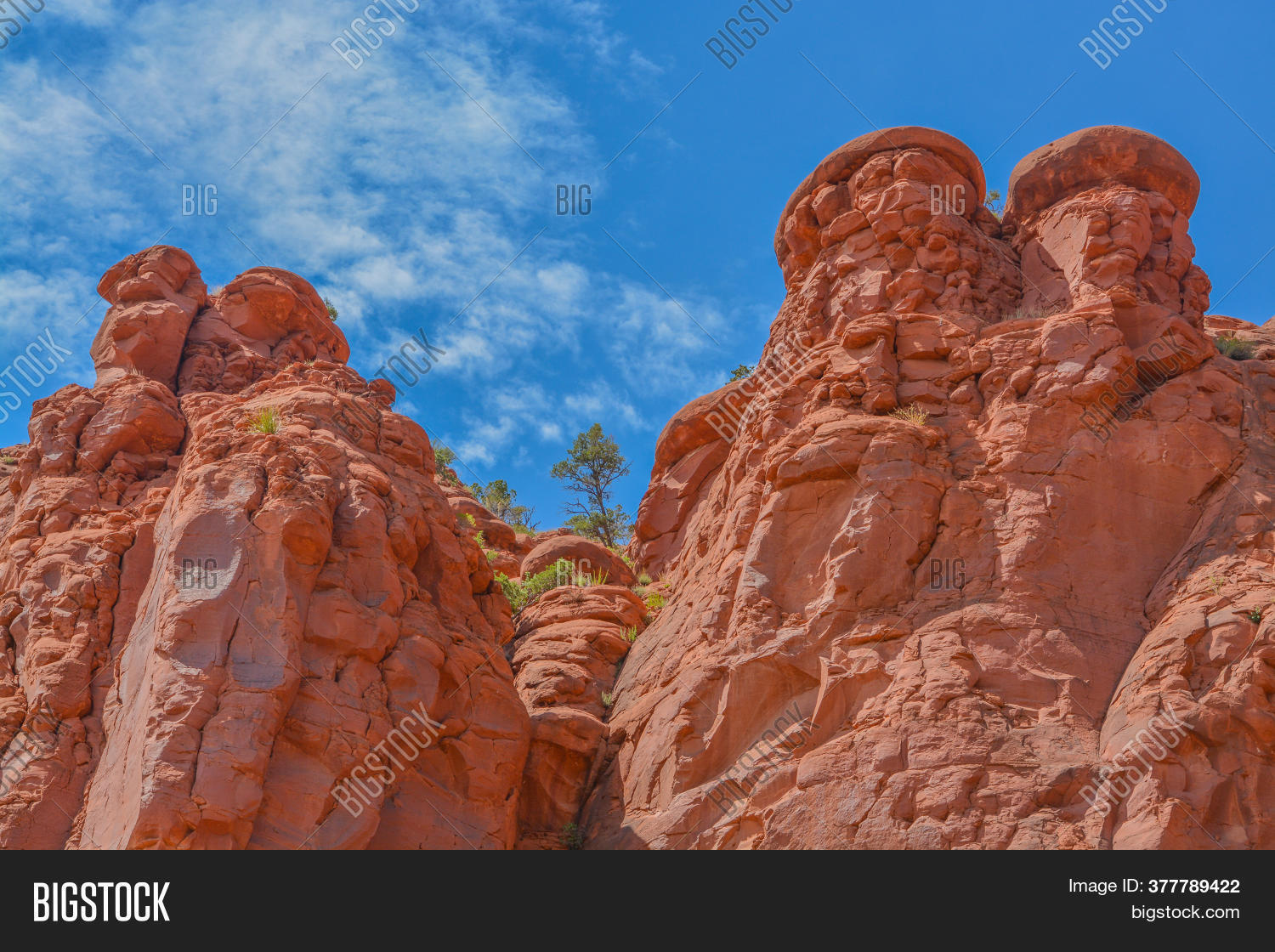 Beautiful View Red Image & Photo (Free Trial) | Bigstock
