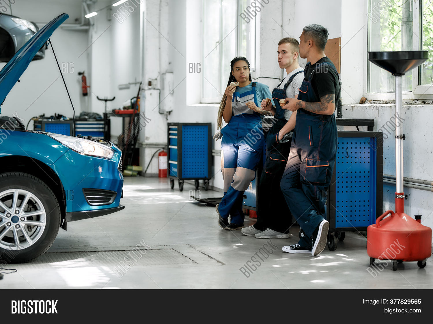 Team Diverse Mechanics Image & Photo (Free Trial) | Bigstock