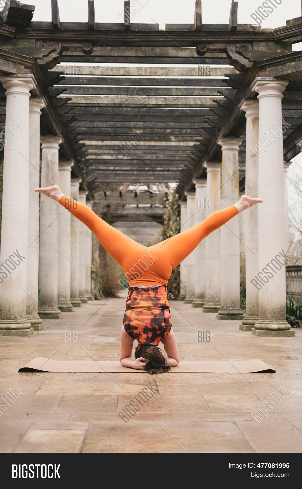 Rear View Woman Doing Image & Photo (Free Trial) | Bigstock