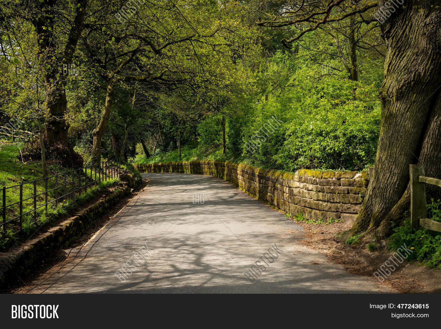 Narrow Paved Road Image & Photo (Free Trial) | Bigstock