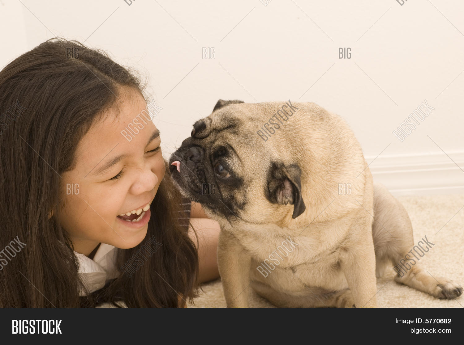 Pug Giving Kiss Image & Photo (Free Trial) | Bigstock