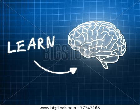 Learn Brain Background Image & Photo (Free Trial) | Bigstock