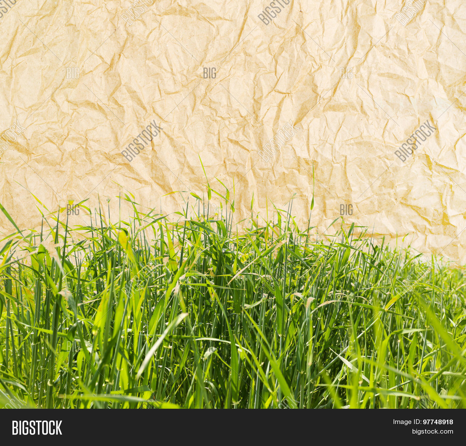 Beautiful Green Field Image & Photo (Free Trial) | Bigstock