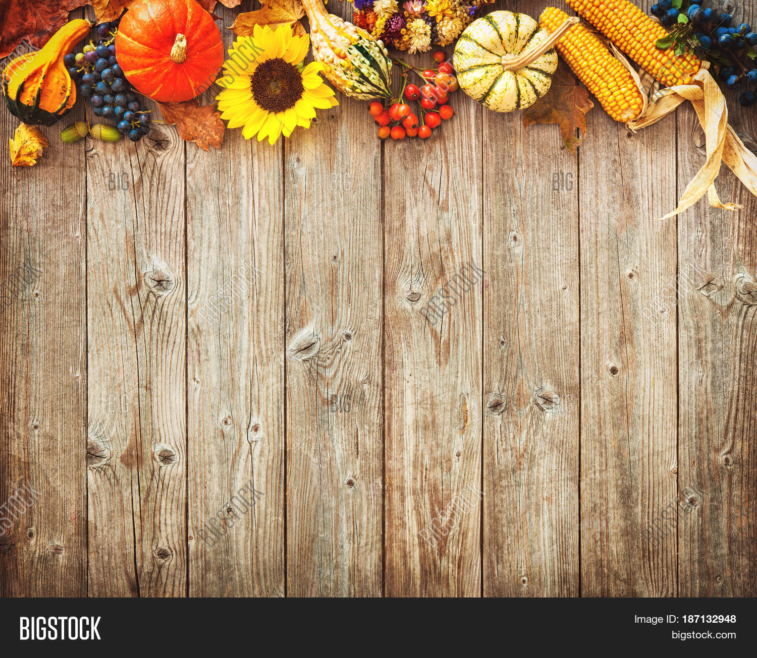 Colorful Autumn Border Image & Photo (Free Trial) | Bigstock