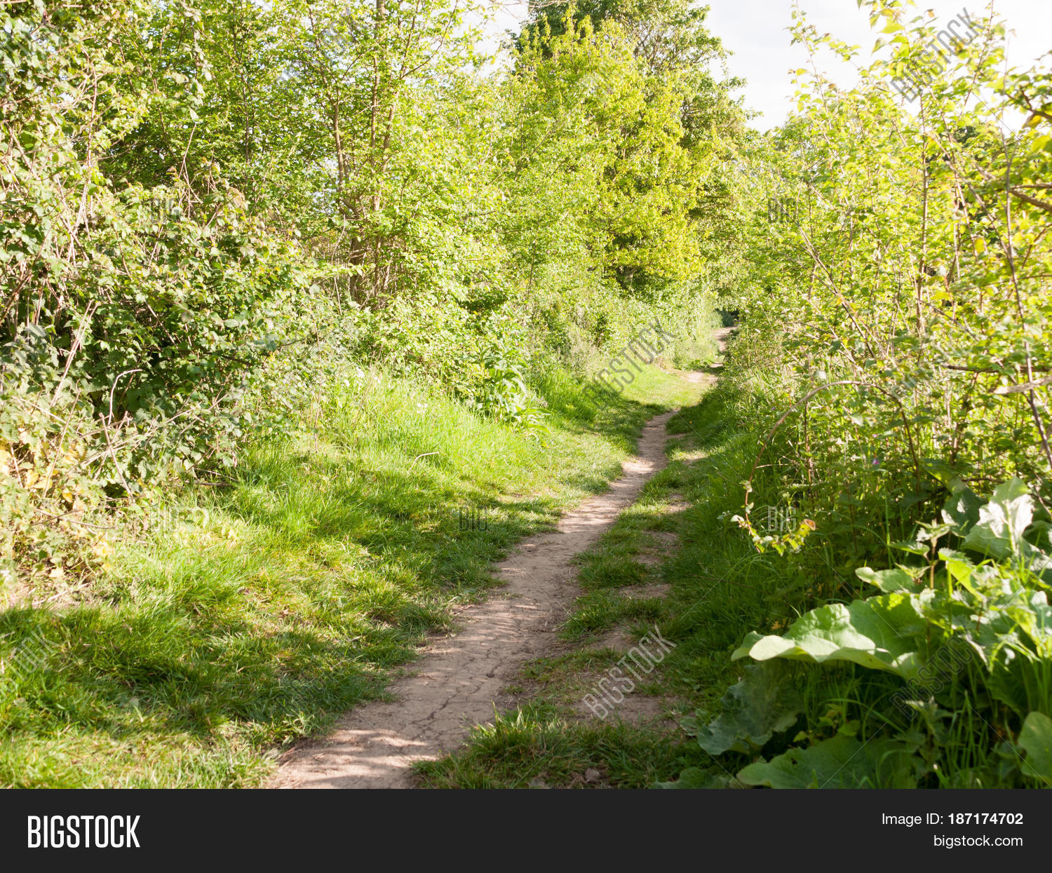 Path Running Through Image & Photo (Free Trial) | Bigstock
