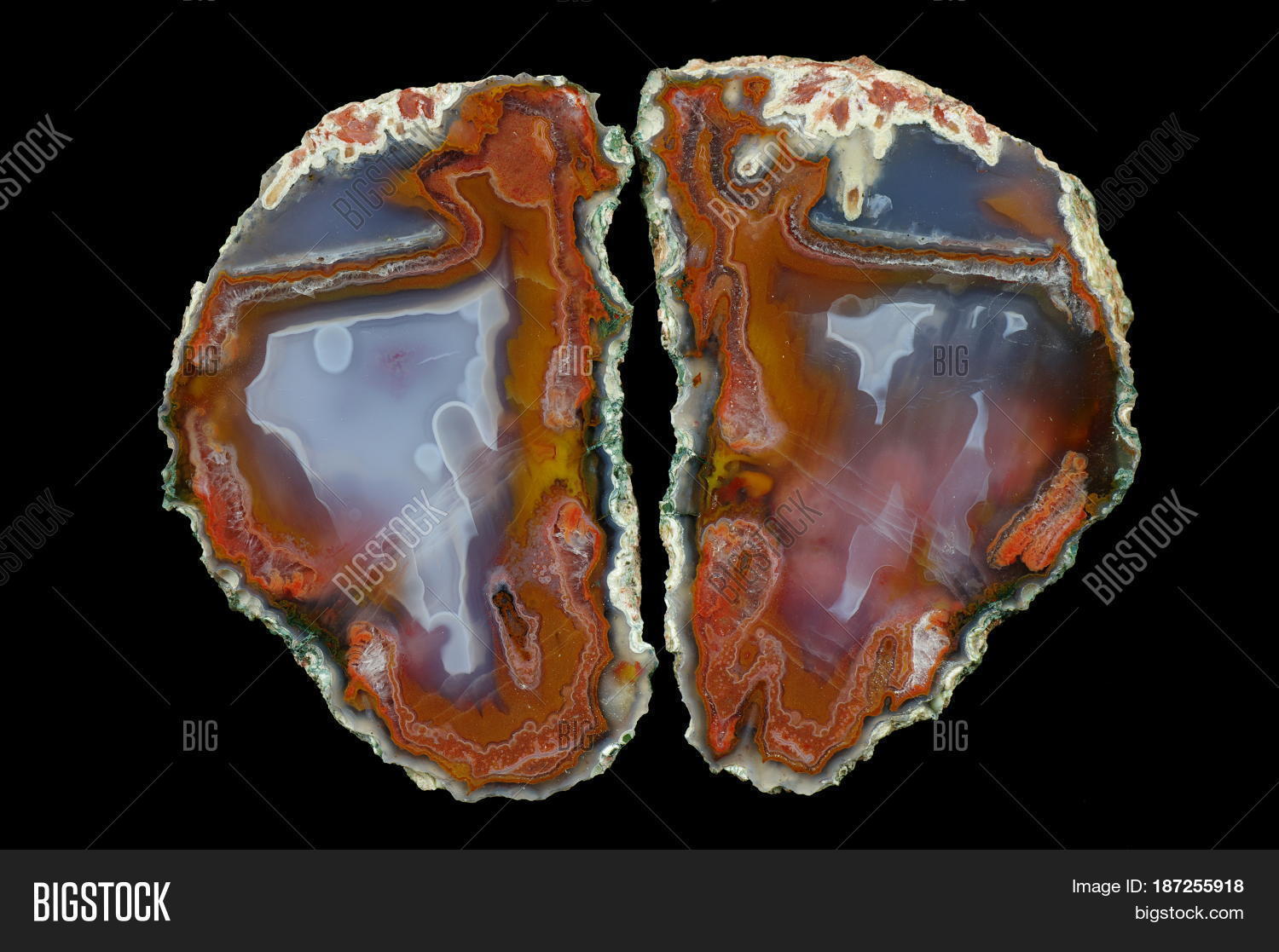 Cross Section Agate Image & Photo (Free Trial) | Bigstock