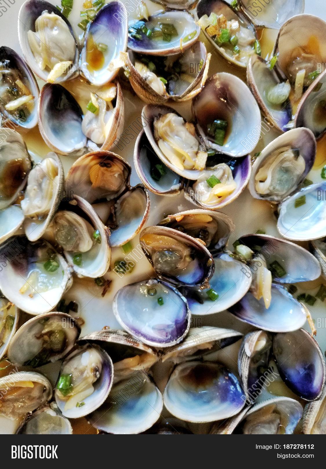 Delicious Seafood Clam Image & Photo (Free Trial) | Bigstock