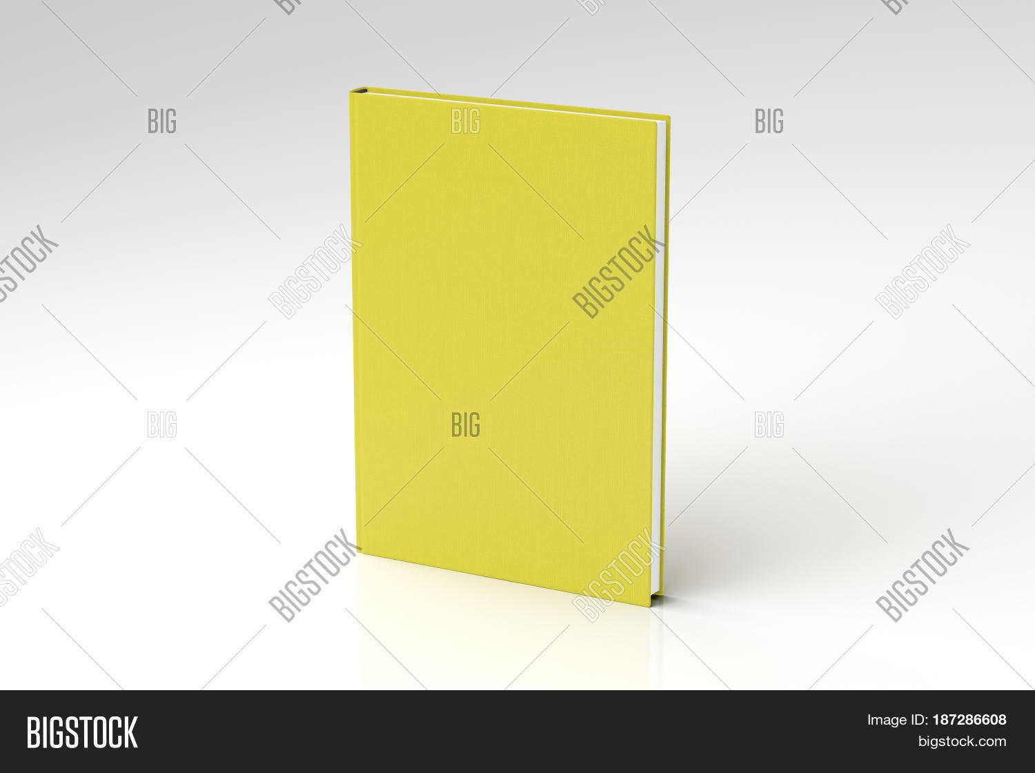 Blank Book Cover Image & Photo (Free Trial) | Bigstock