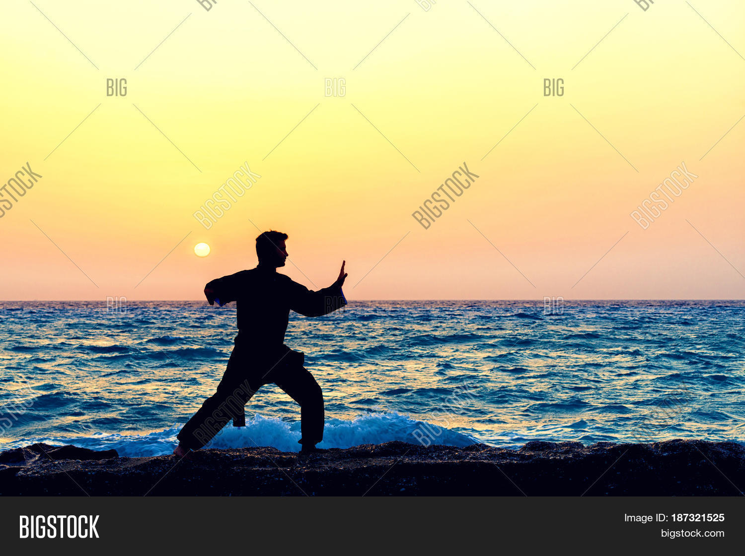 Man Performs Tai Chi Image & Photo (Free Trial) | Bigstock