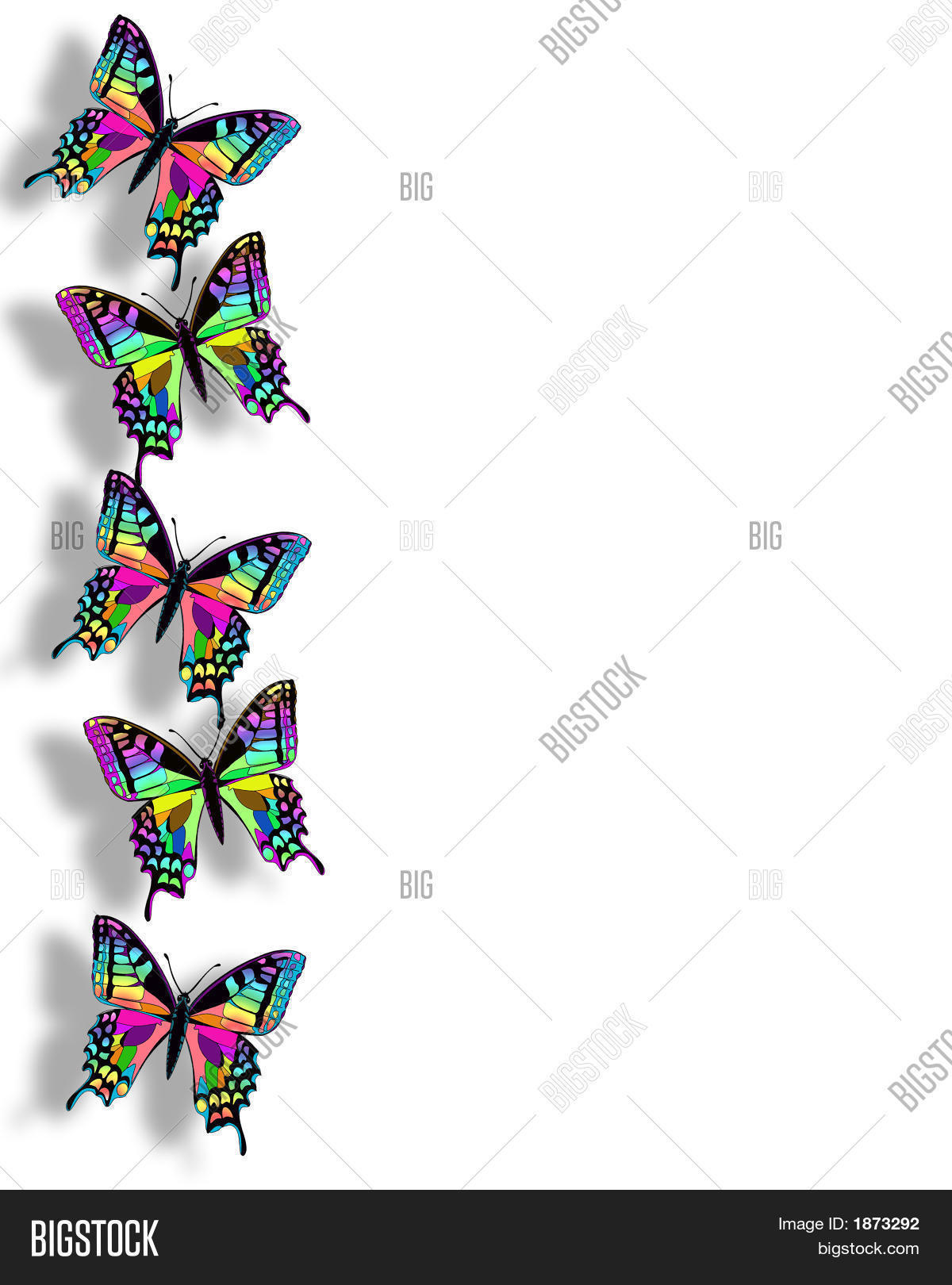Butterfly Border Image & Photo (Free Trial) | Bigstock