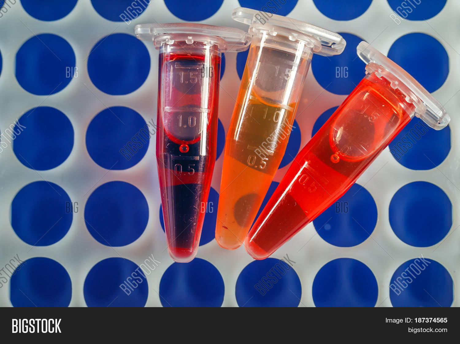 Colorful Test Tubes. Image & Photo (Free Trial) | Bigstock