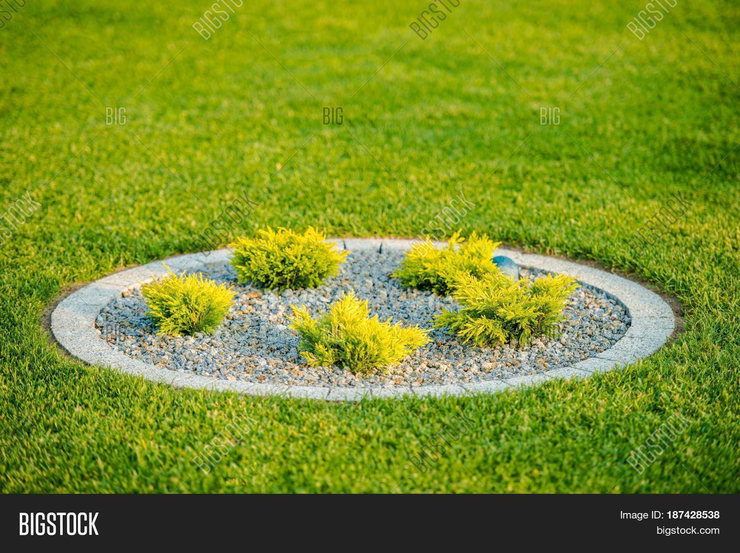 Bricks Circle Garden Image & Photo (Free Trial) | Bigstock