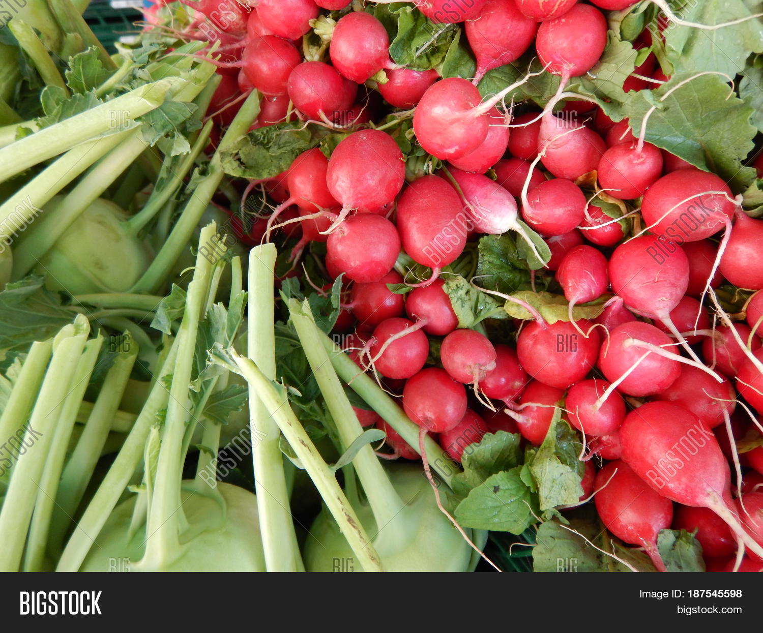 Bunch Red Radishes Image & Photo (Free Trial) | Bigstock
