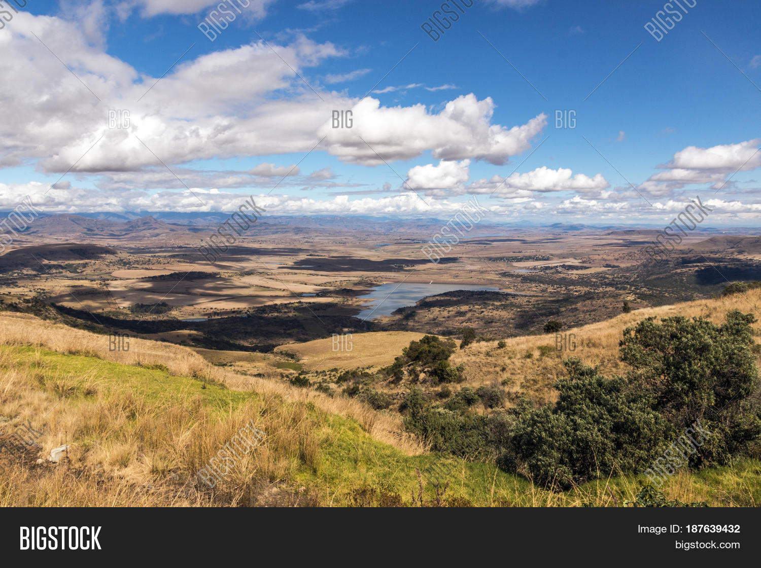 Golden Cold Dry Winter Image & Photo (Free Trial) | Bigstock