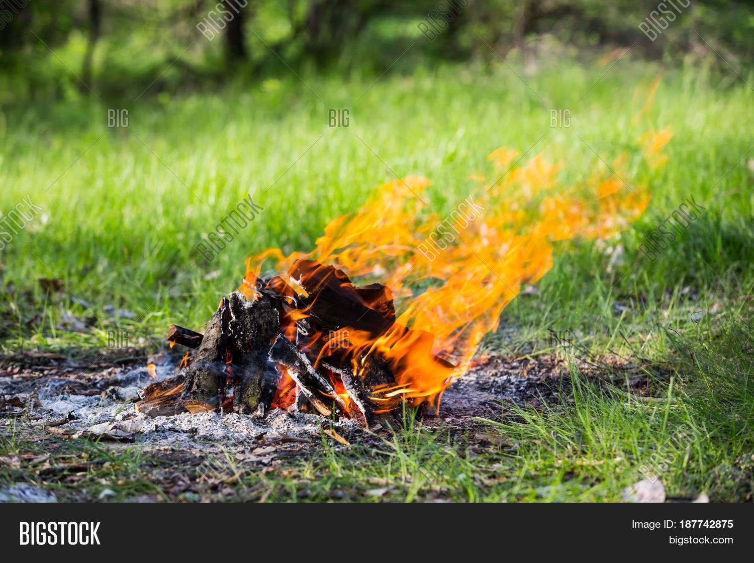 Hot Flames Campfire On Image & Photo (Free Trial) | Bigstock