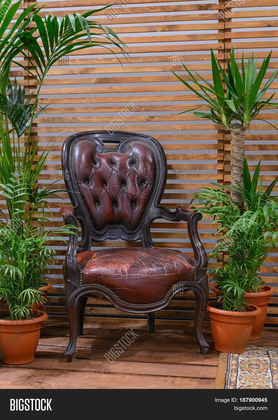 Antique Leather Chair Image & Photo (Free Trial) | Bigstock