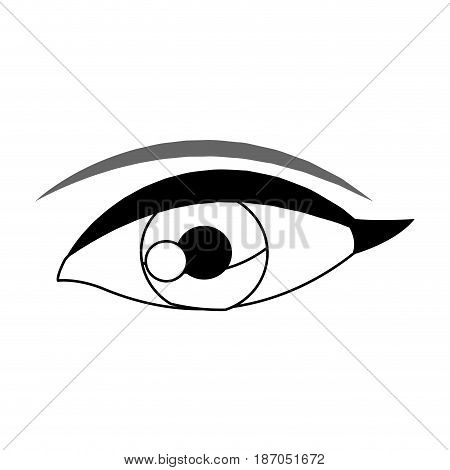 Female Eye Vision Vector & Photo (Free Trial) | Bigstock
