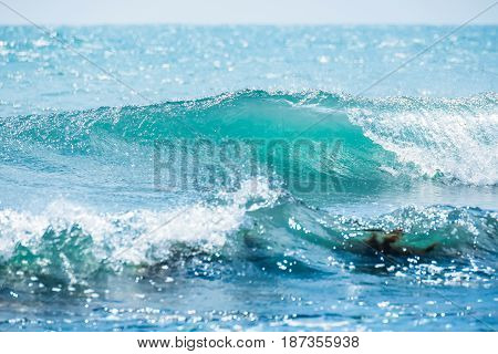 Blue Wave Tropical Image & Photo (Free Trial) | Bigstock