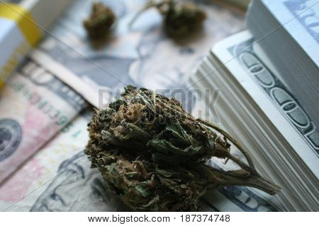 Imagen y foto Money Marijuana Bud (prueba gratis) | Bigstock