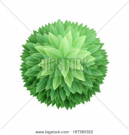 Round Leaves Vector & Photo (Free Trial) | Bigstock
