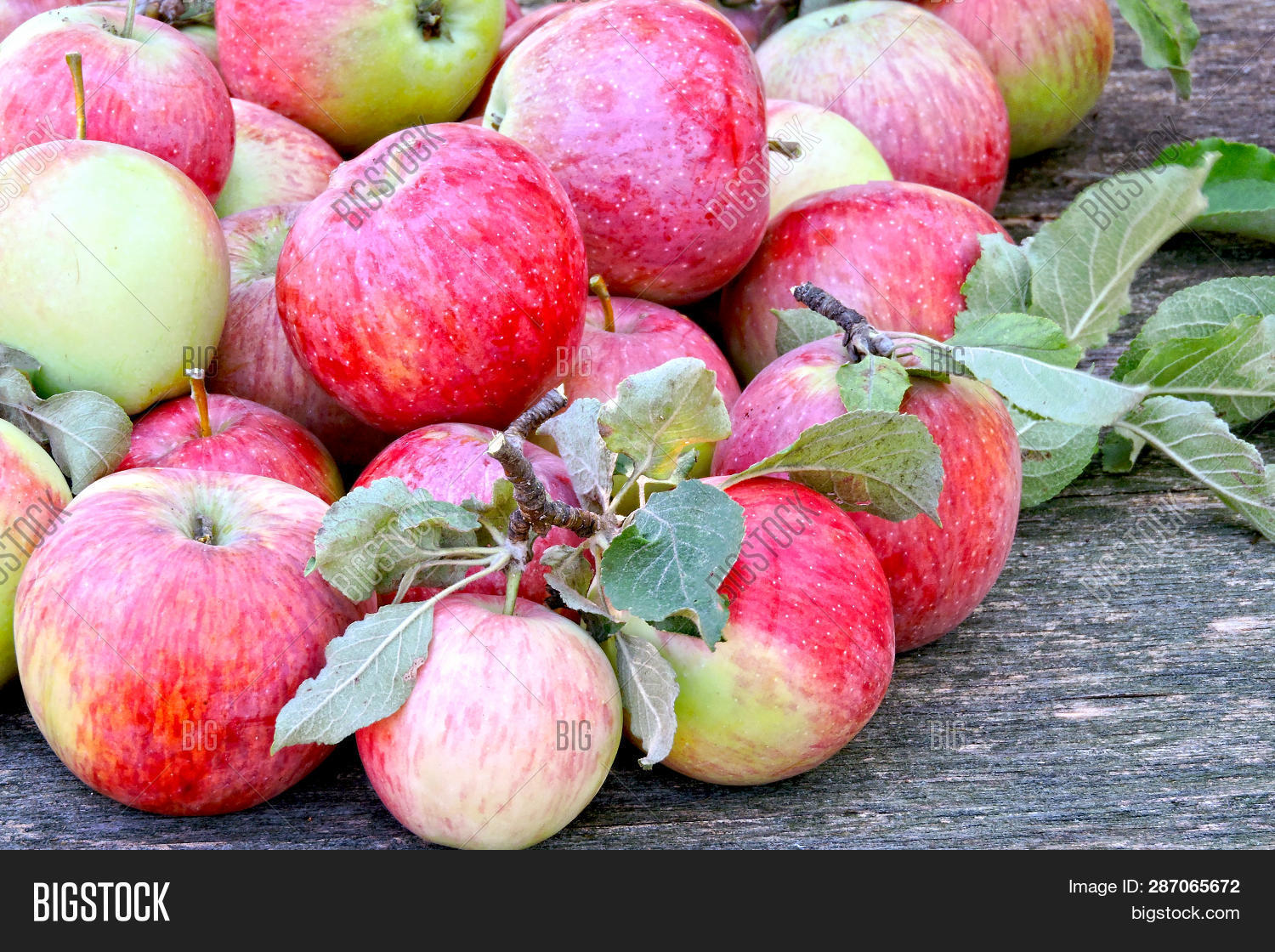 Fresh Red Apples. Image & Photo (Free Trial) | Bigstock