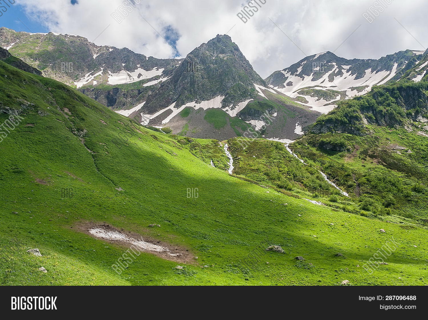 Taiga On Mountain Image & Photo (Free Trial) | Bigstock