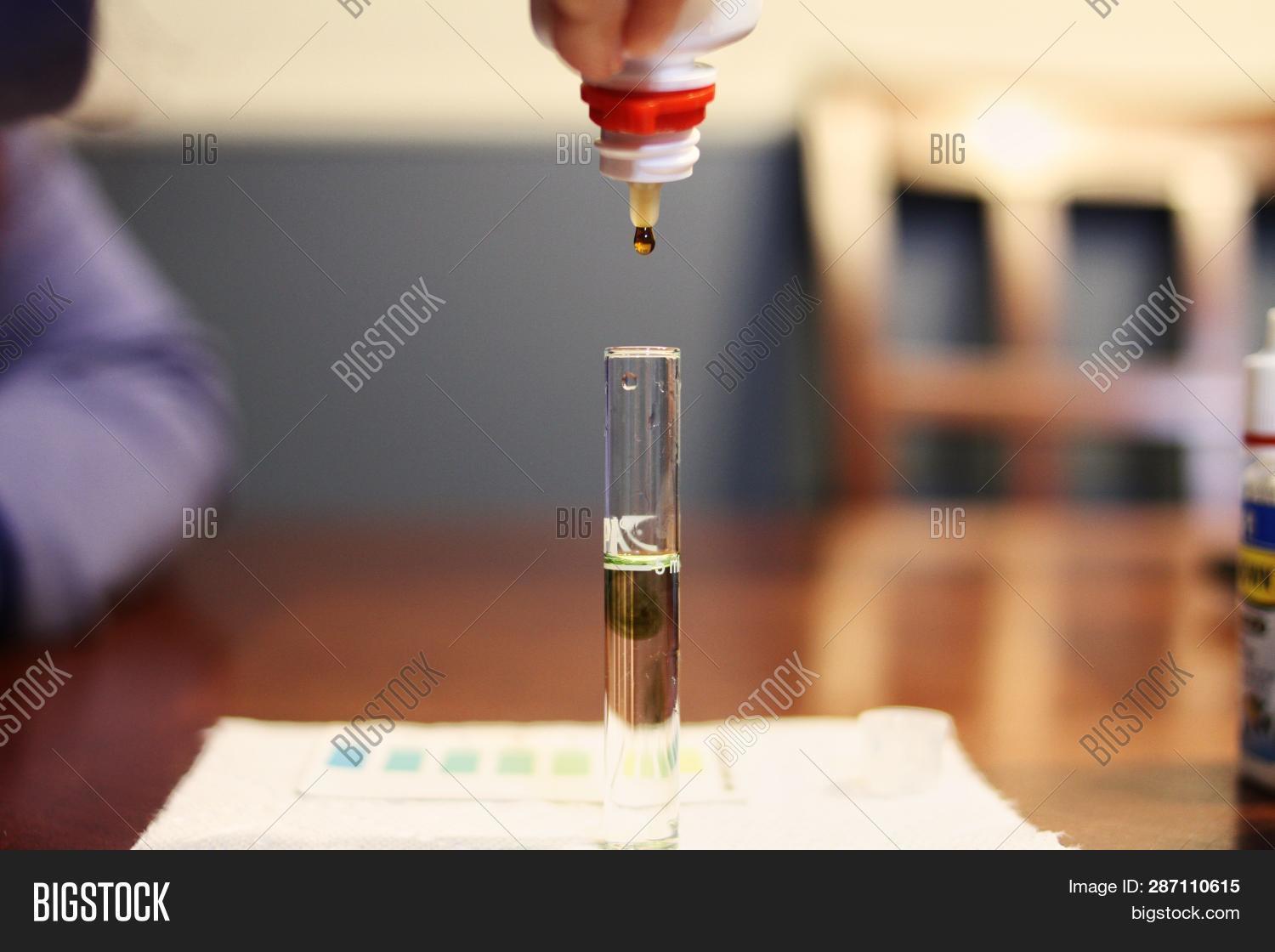 Person Testing Water Image & Photo (Free Trial) | Bigstock