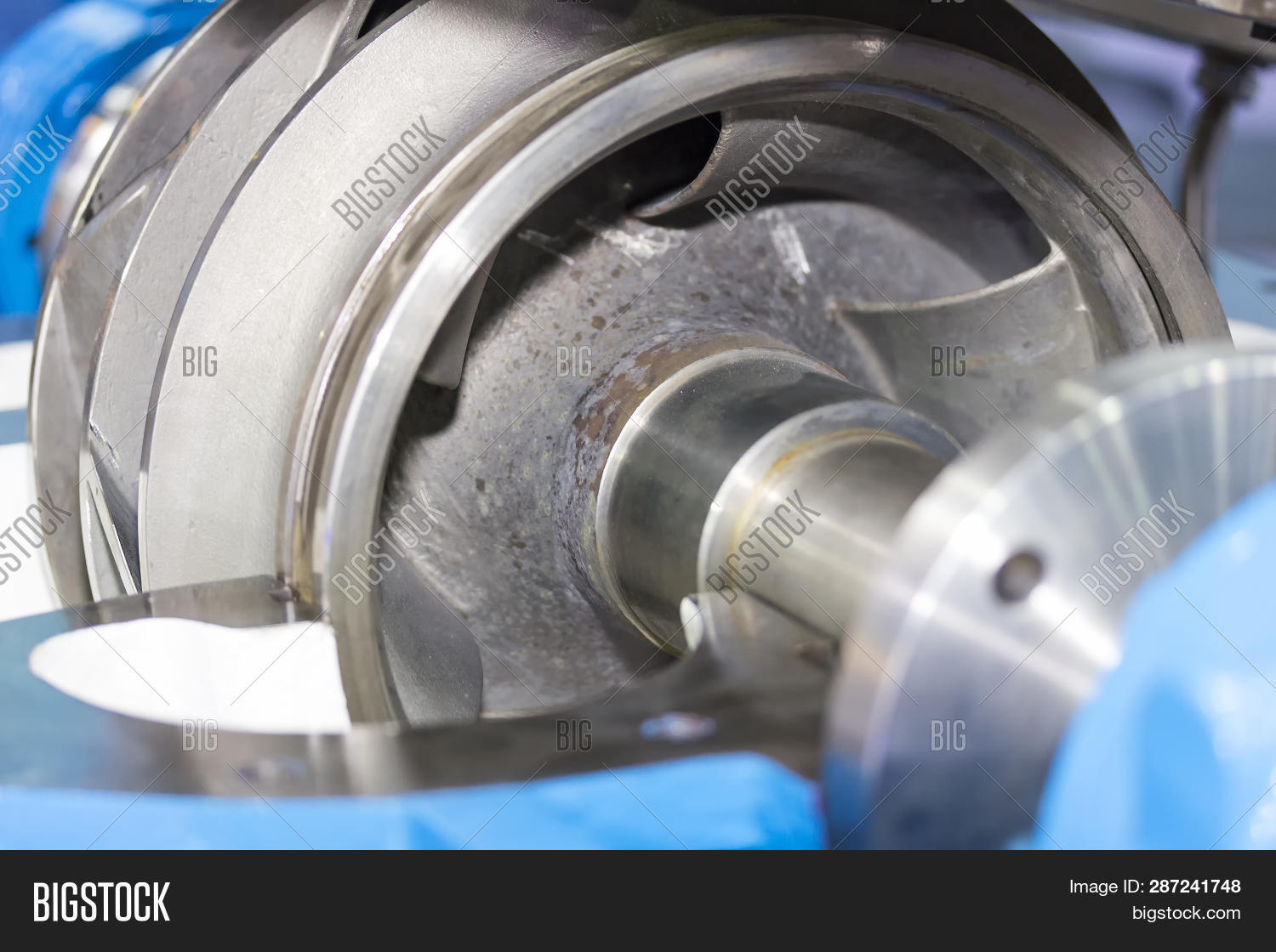 Close Cross Section Image & Photo (Free Trial) | Bigstock