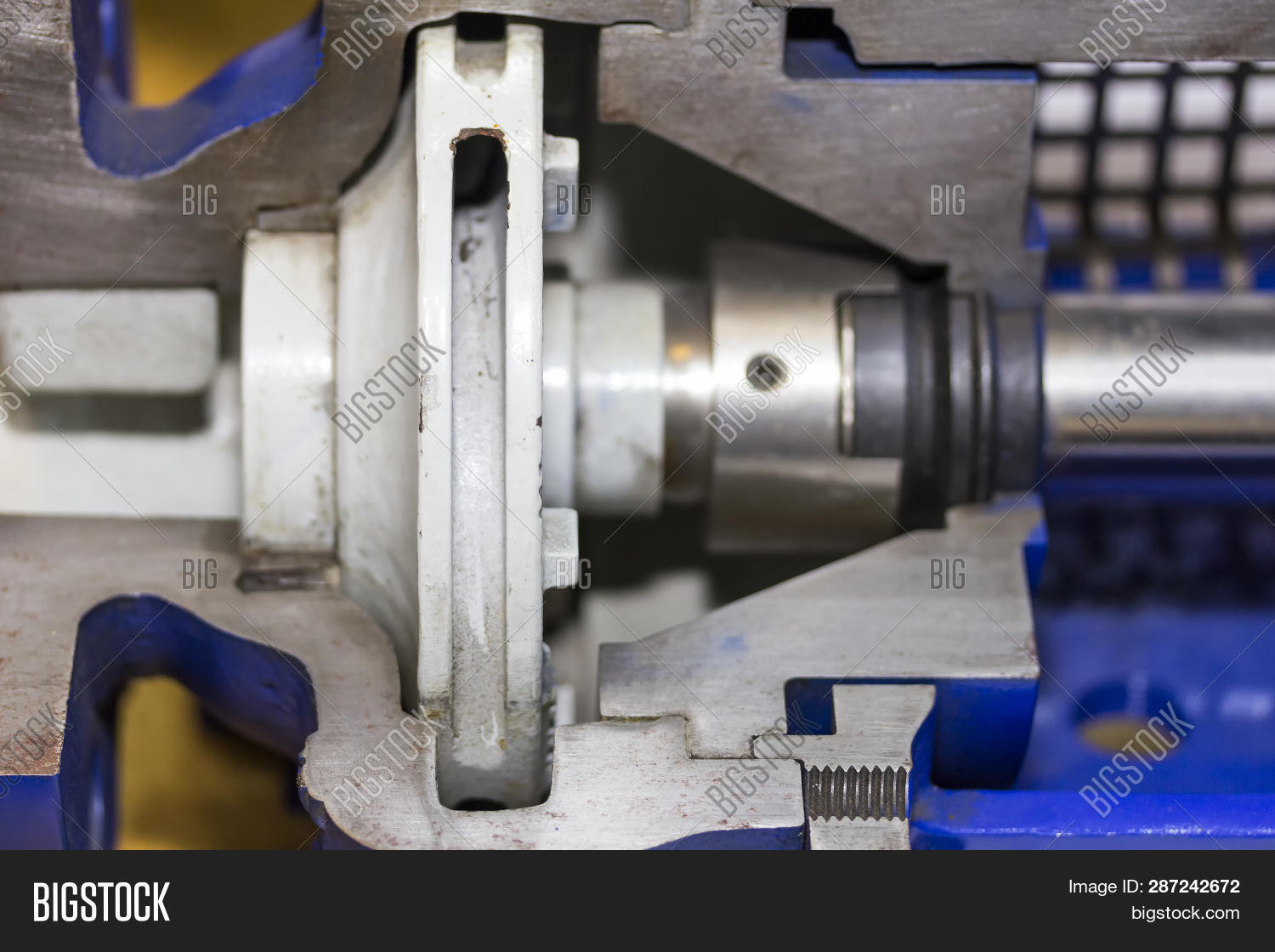 Close Cross Section Image & Photo (Free Trial) | Bigstock