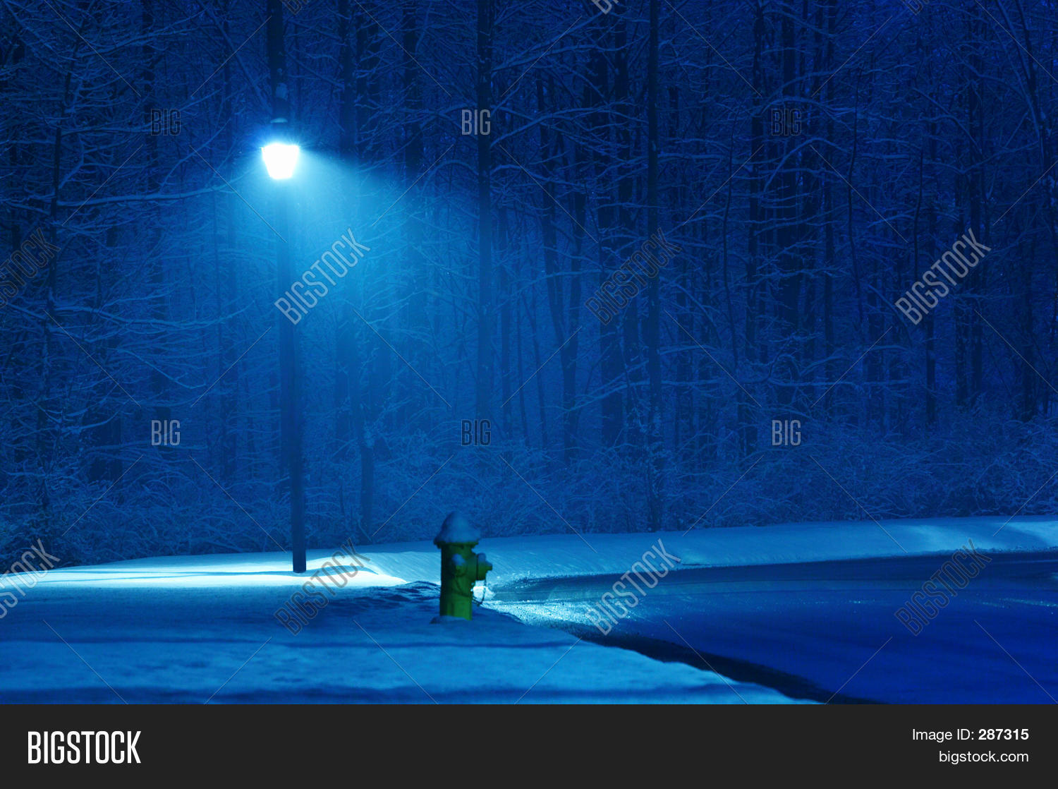 Winter Night Image & Photo (Free Trial) | Bigstock