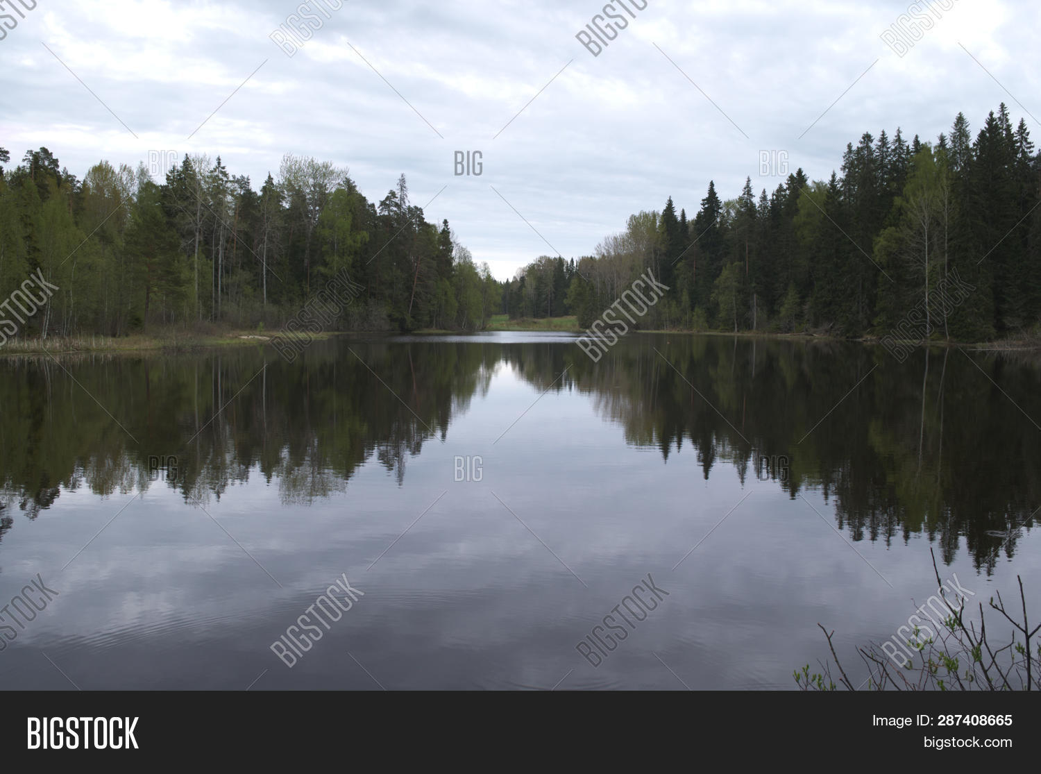 Forest Lake. Small Image & Photo (Free Trial) | Bigstock
