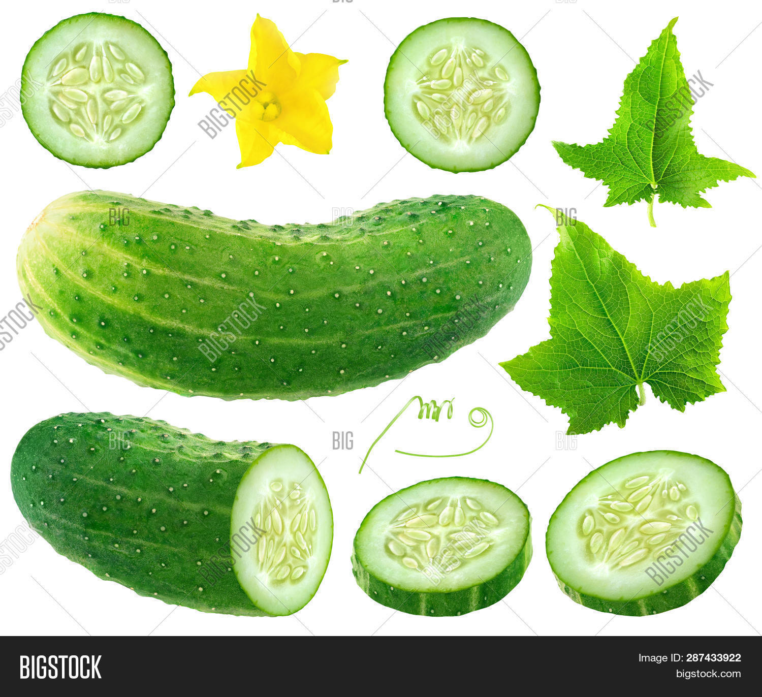 Isolated Cucumber Image & Photo (Free Trial) | Bigstock